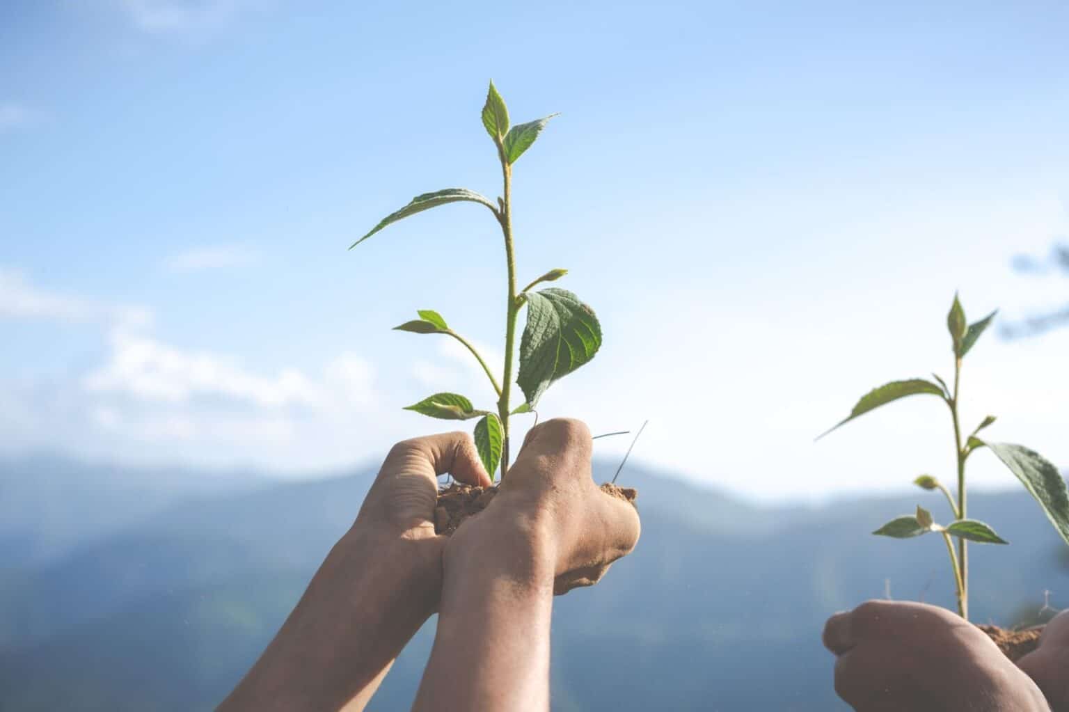 What is a Growth Mindset? And Why It Matters for Kids